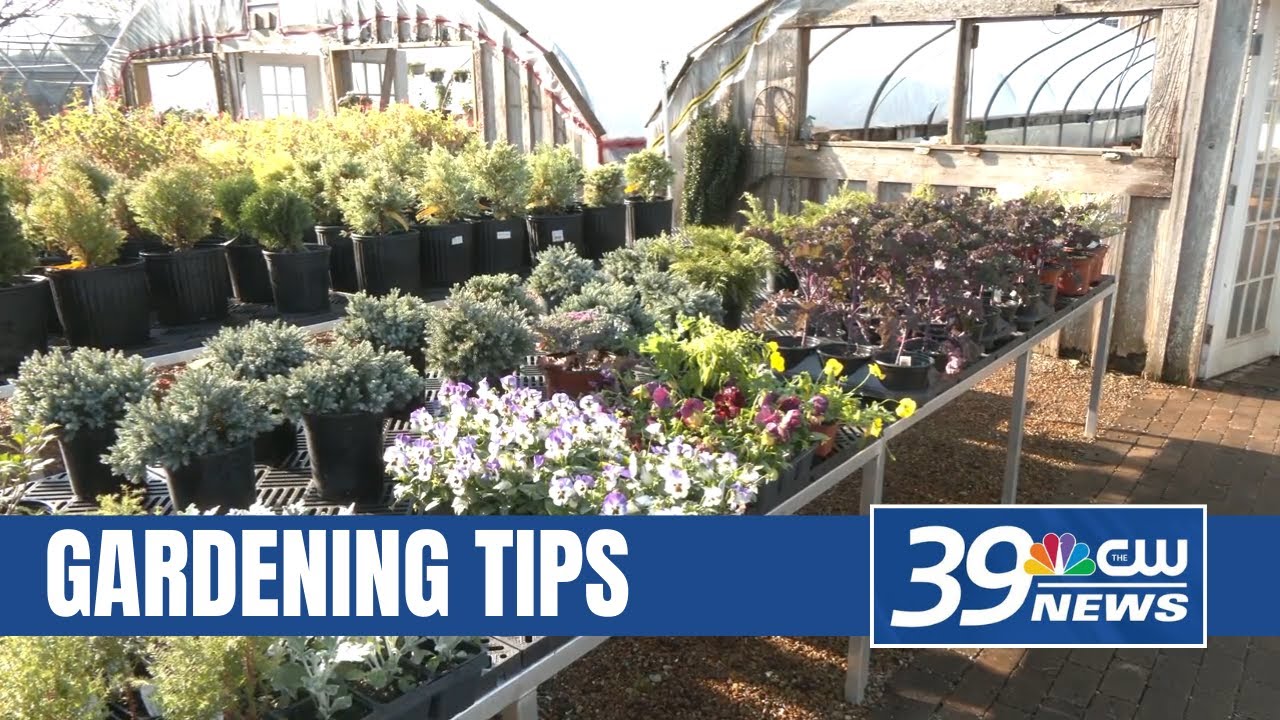 Jackson nursery gives West Tennesseans tips about end-of-year gardening ...