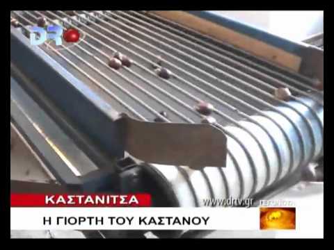 Η ΓΙΟΡΤΗ ΤΟΥ ΚΑΣΤΑΝΟΥ ΣΤΗΝ ΚΑΣΤΑΝΙΤΣΑ - YouTube