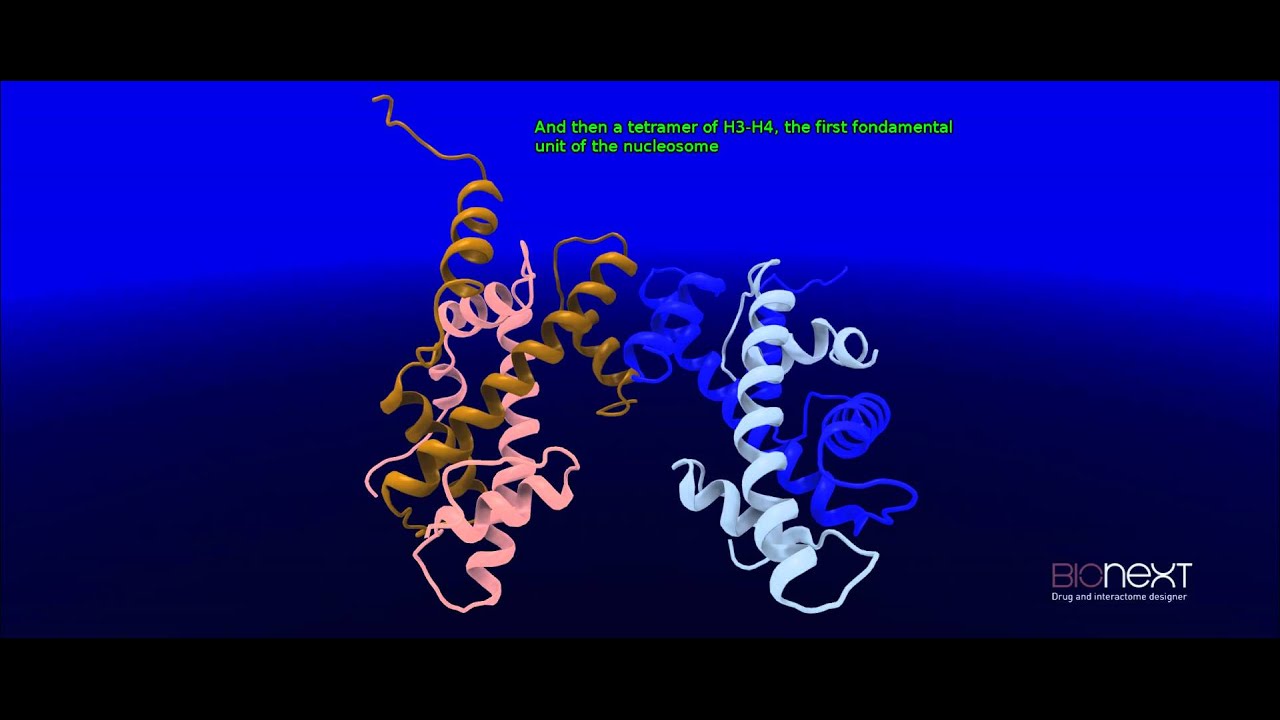 Structural Annotation of a Nucleosome - YouTube