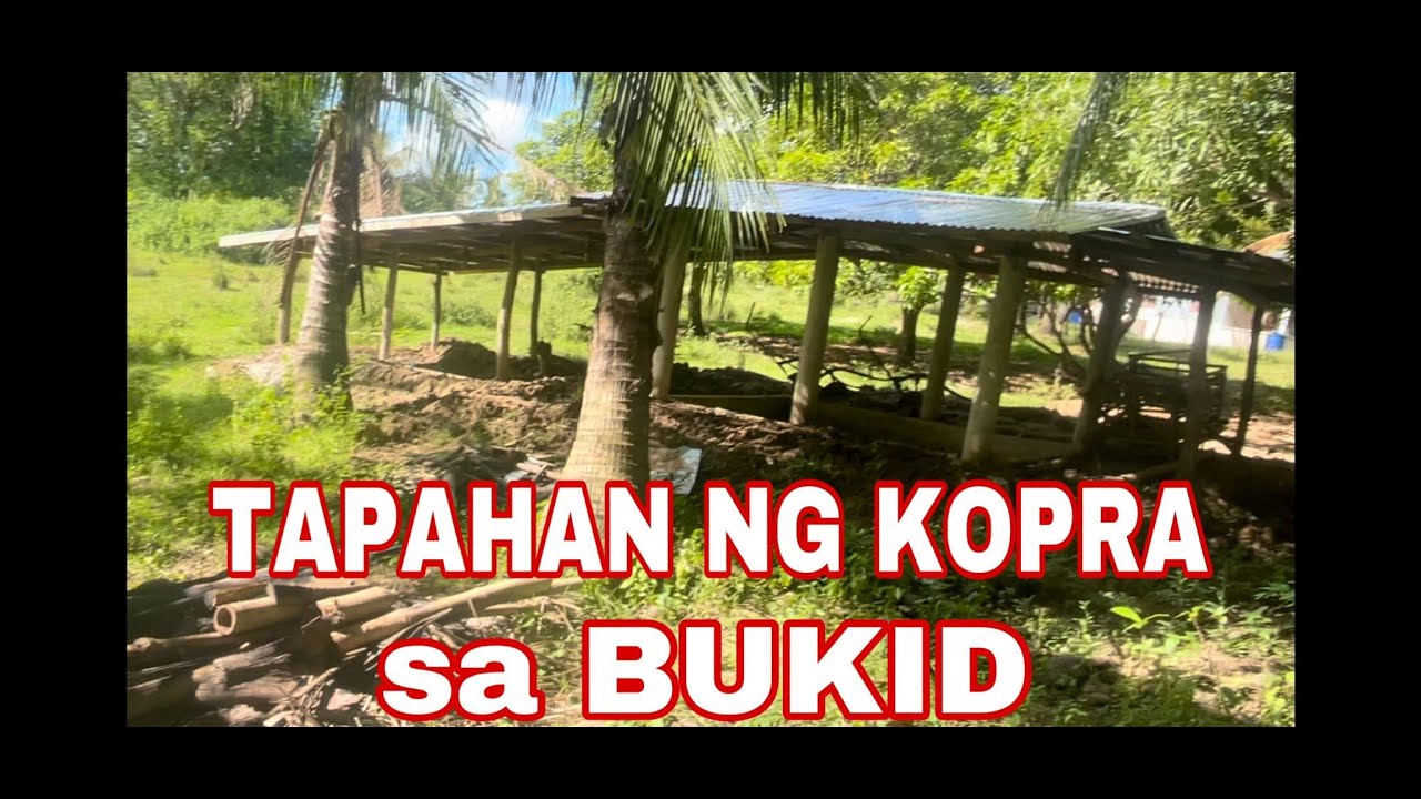 TAPAHAN NG KOPRAS SA BUKID /MAAM LHETZ CT VLOGS - YouTube