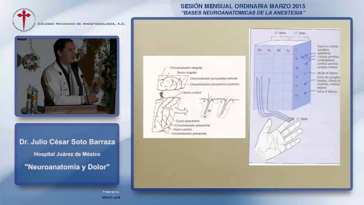 Dr. Julio César Soto Barraza " Neuroanatomia y Dolor " - YouTube