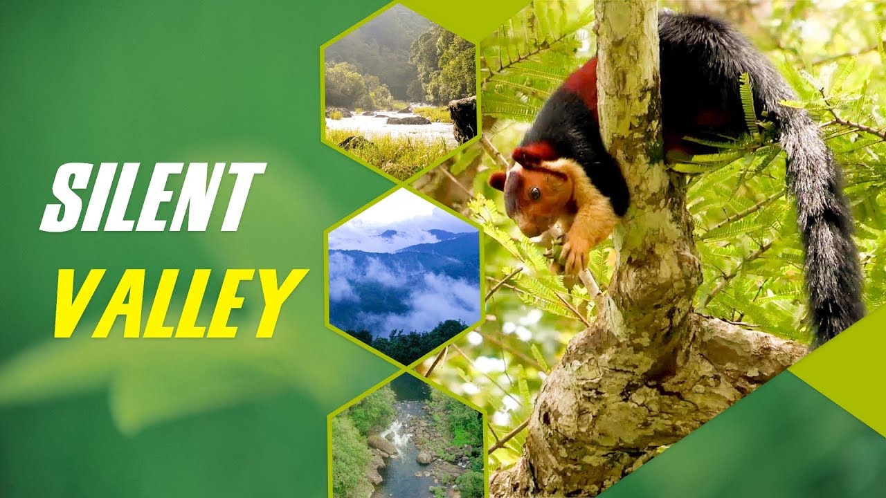 Success Story of Silent Valley National Park | Conservation of 50 ...