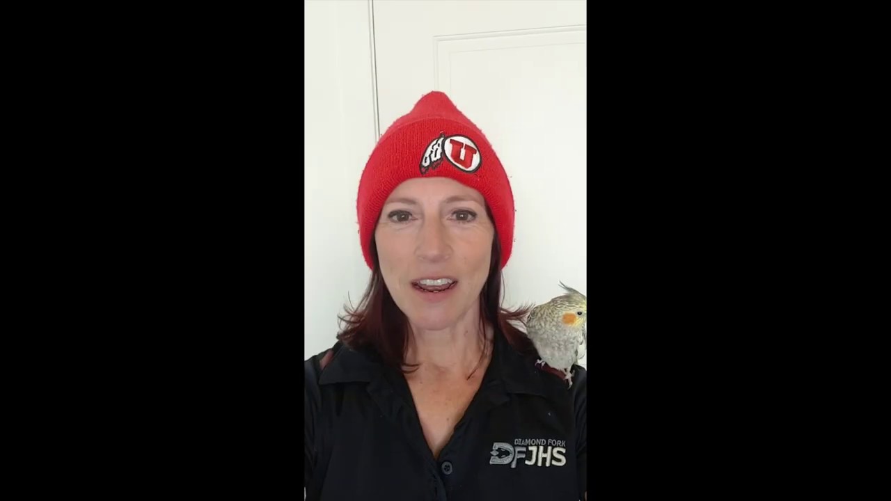 DFJHS College Week 2020 - YouTube