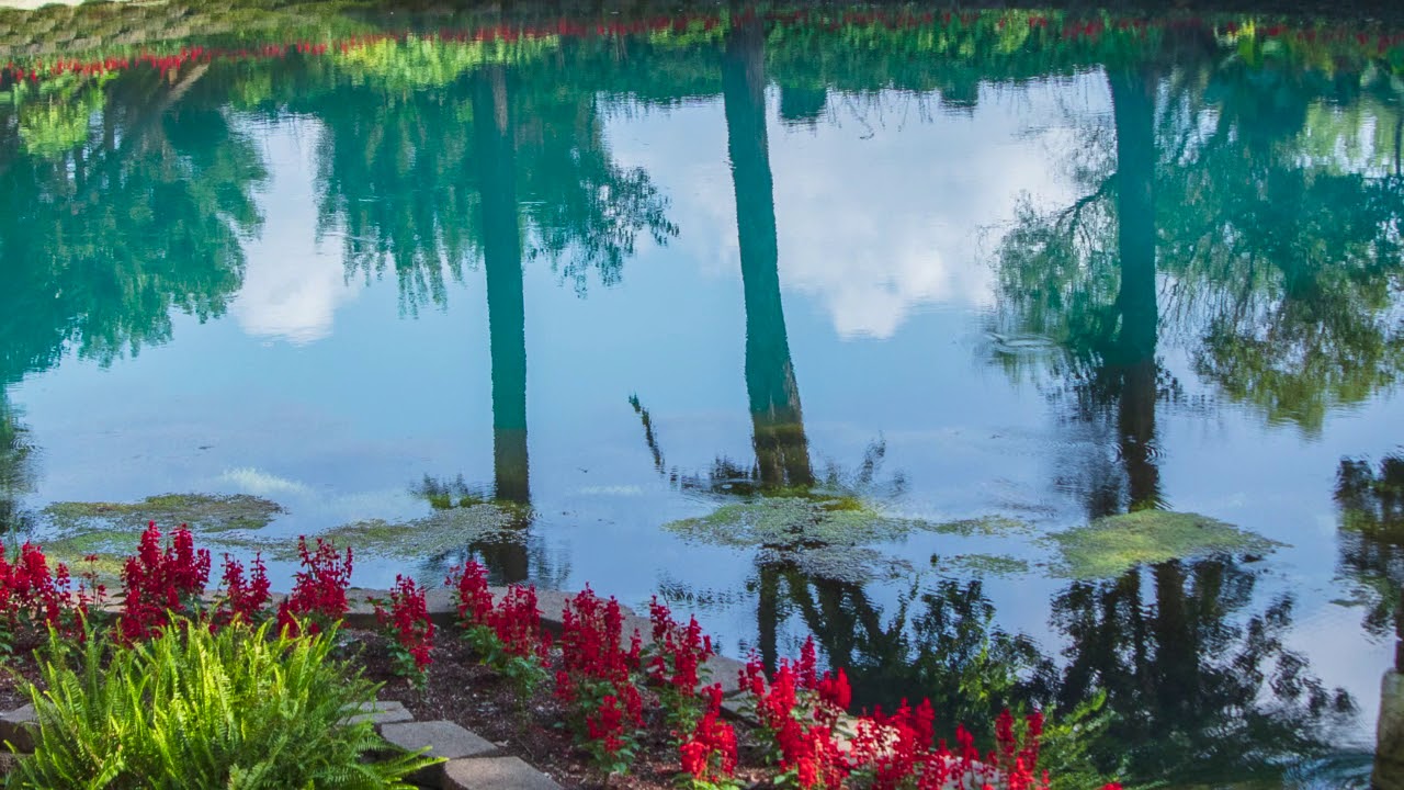 Blue Spring in Eureka Springs, Arkansas - YouTube