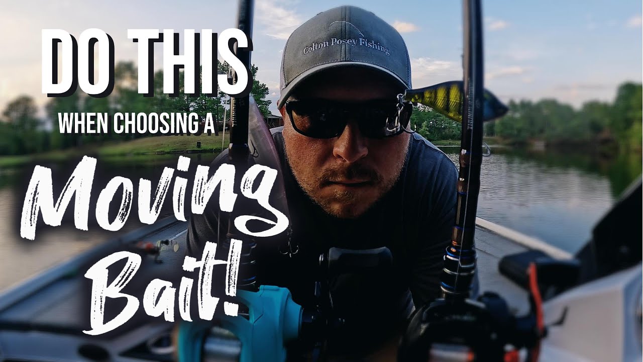 How to Choose The Right Moving Bait Made Simple (Bass Fishing) - YouTube