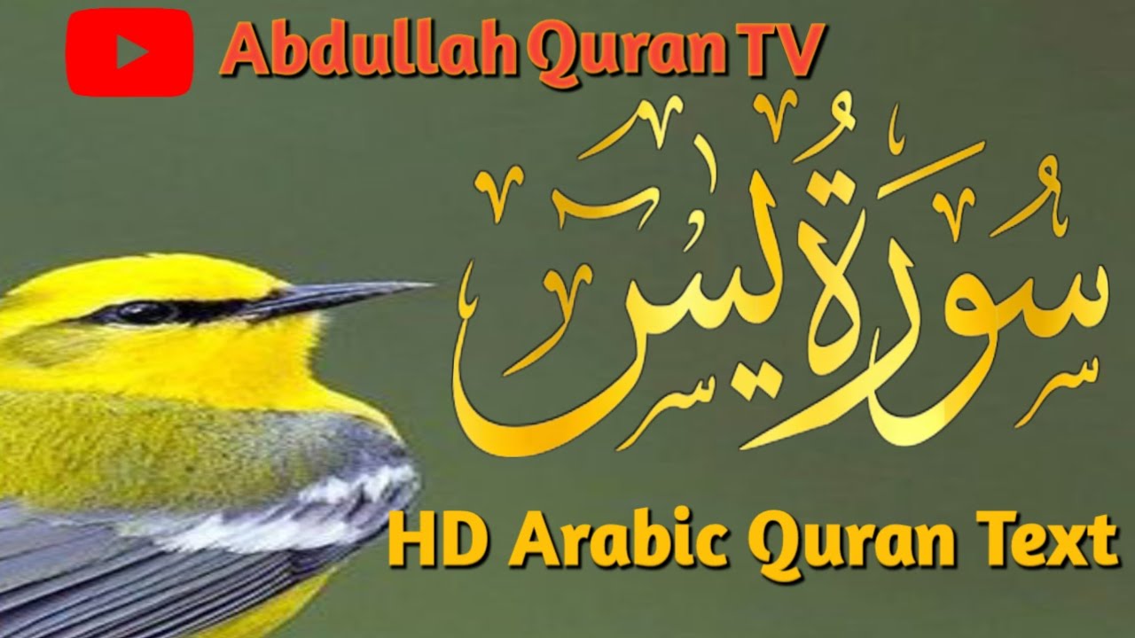 Surah Yaseen | Quran Tilawat | HD Quran Text | Melodious Surah Yaseen ...
