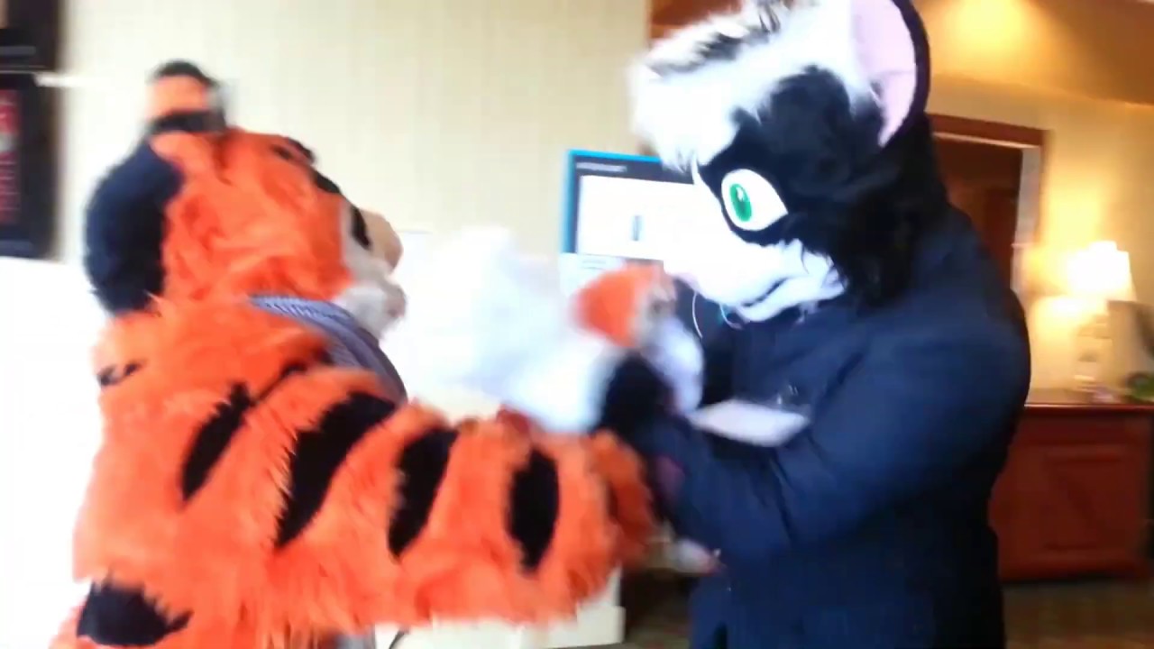 Furry fighting during 11 seconds - YouTube