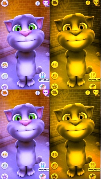 Tom Cat Says Welcome to Tom Life Fun = 500 - YouTube