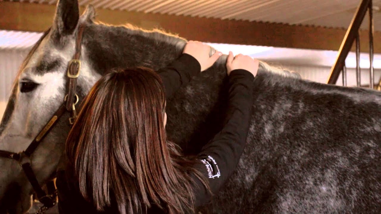 Body condition scoring - Agribrands Purina Canada - YouTube