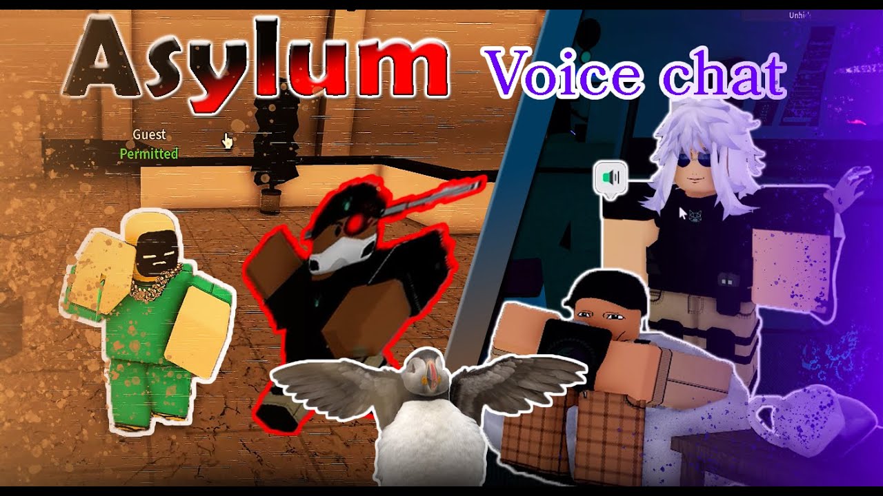 Roblox Asylum (VOICE CHAT) a Puffin experience - YouTube