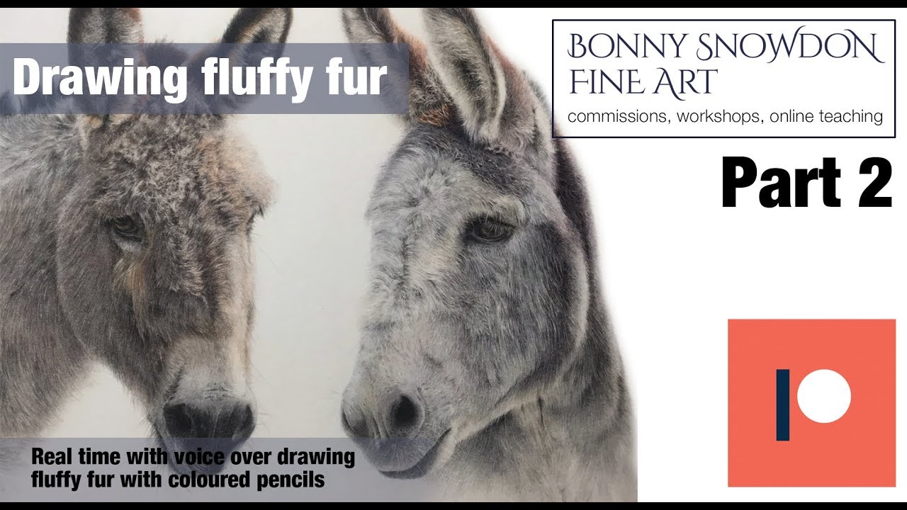 Drawing Fluffy fur with coloured pencils - Part 2 - YouTube