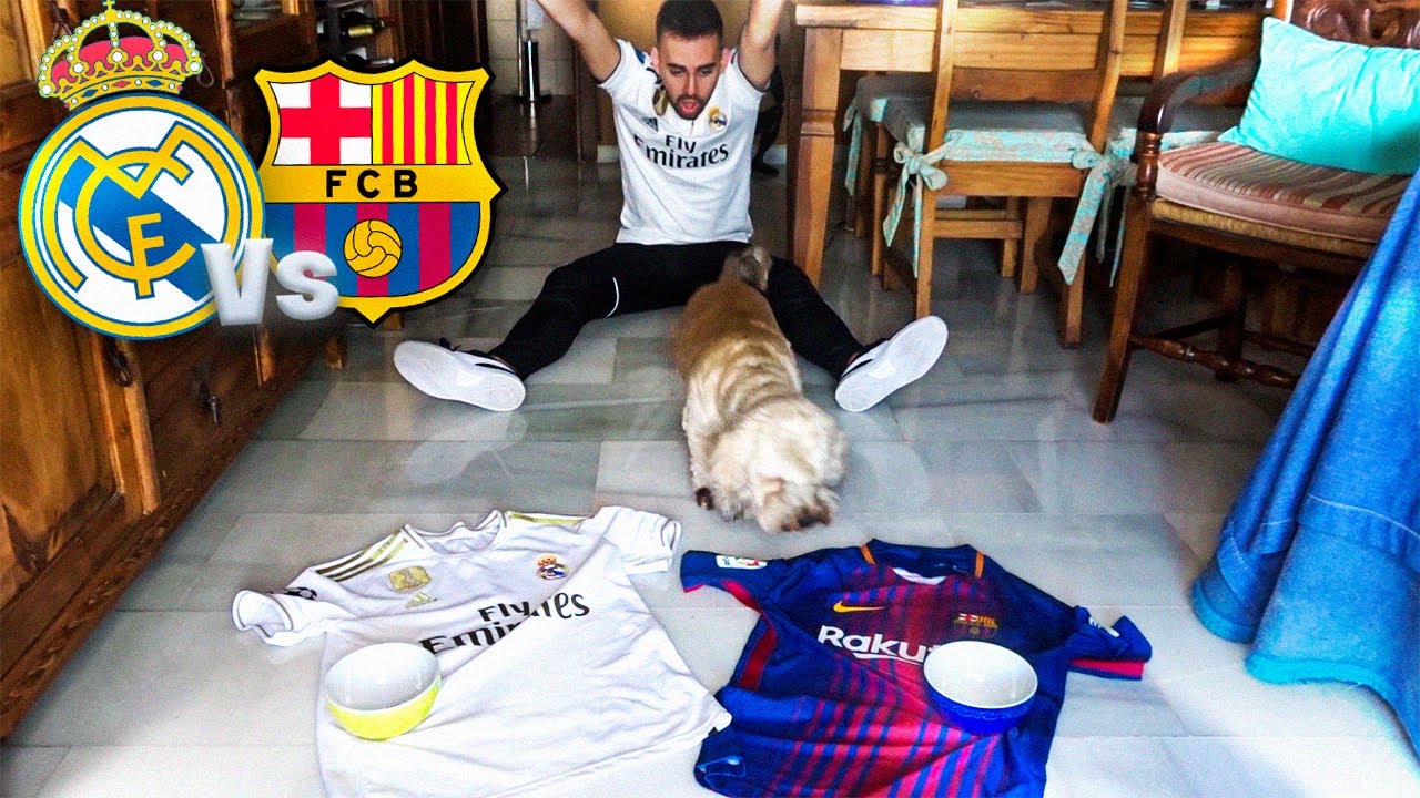Mi PERRO PREDICE el GANADOR de el CLASICO REAL MADRID VS FC BARCELONA ...