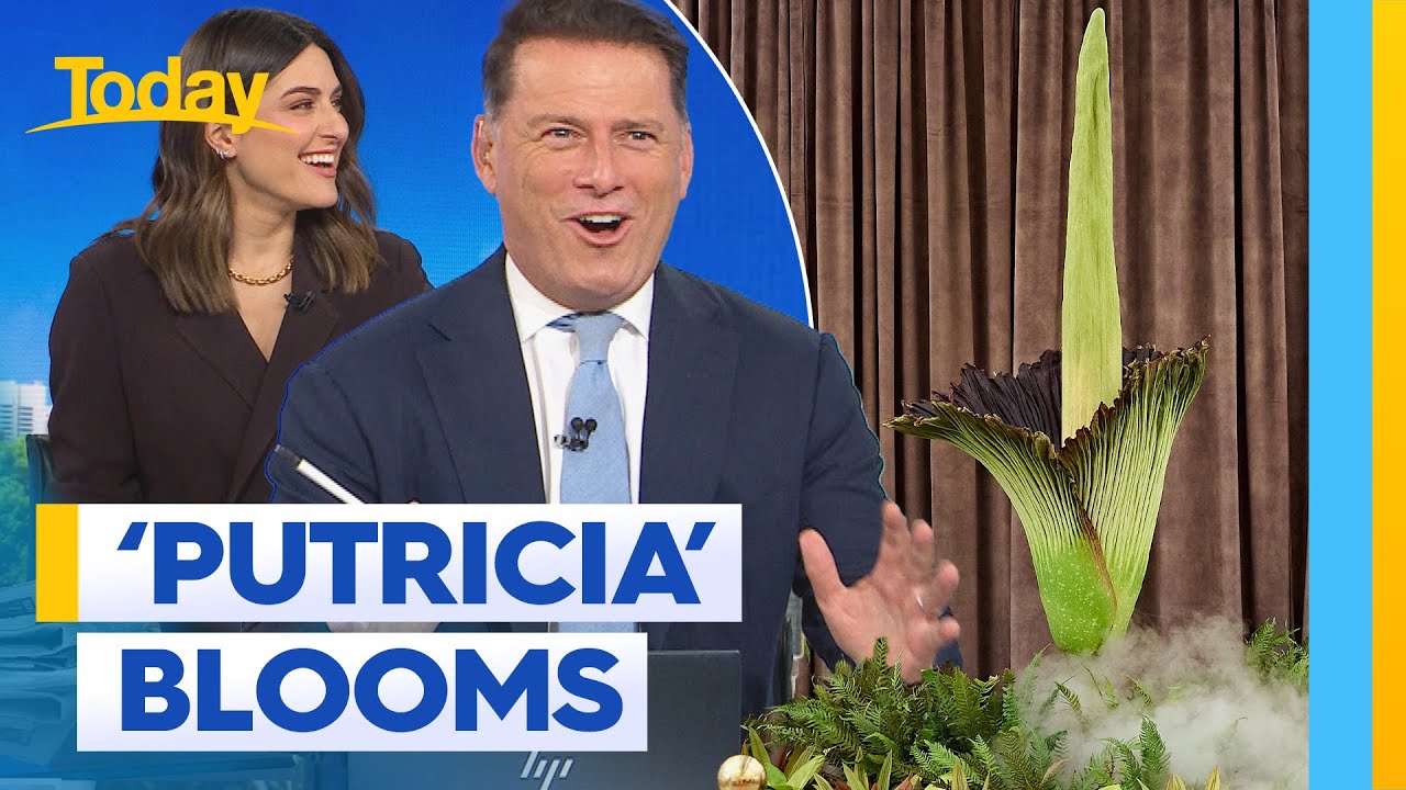 'Putricia' the corpse flower causes a stink with Today Show hosts ...