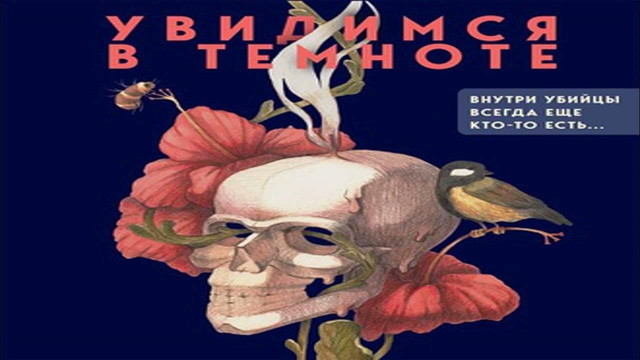 Аудиокнига Увидимся в темноте \\ Виктория Платова \\ Качественная ...