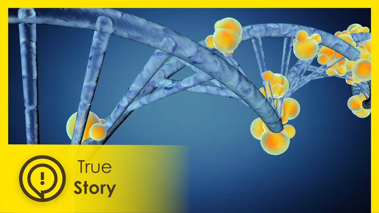 Human Immortality - Forging the Future 3/6 - True Story Documentary ...