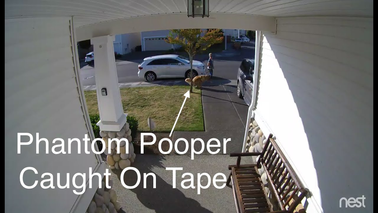 The Phantom Pooper - YouTube