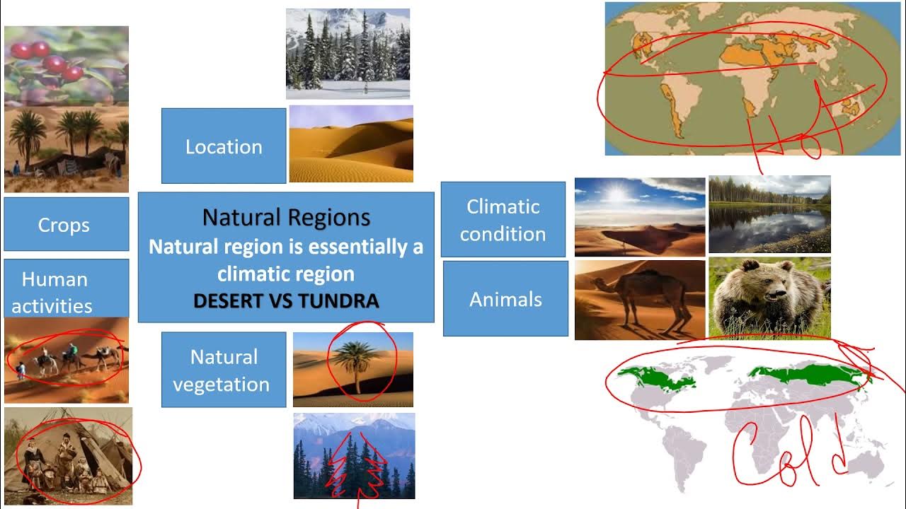 ICSE Grade 9 Natural Regions Part 1 YouTube icse-grade-9-natural-regions-part-1-youtube