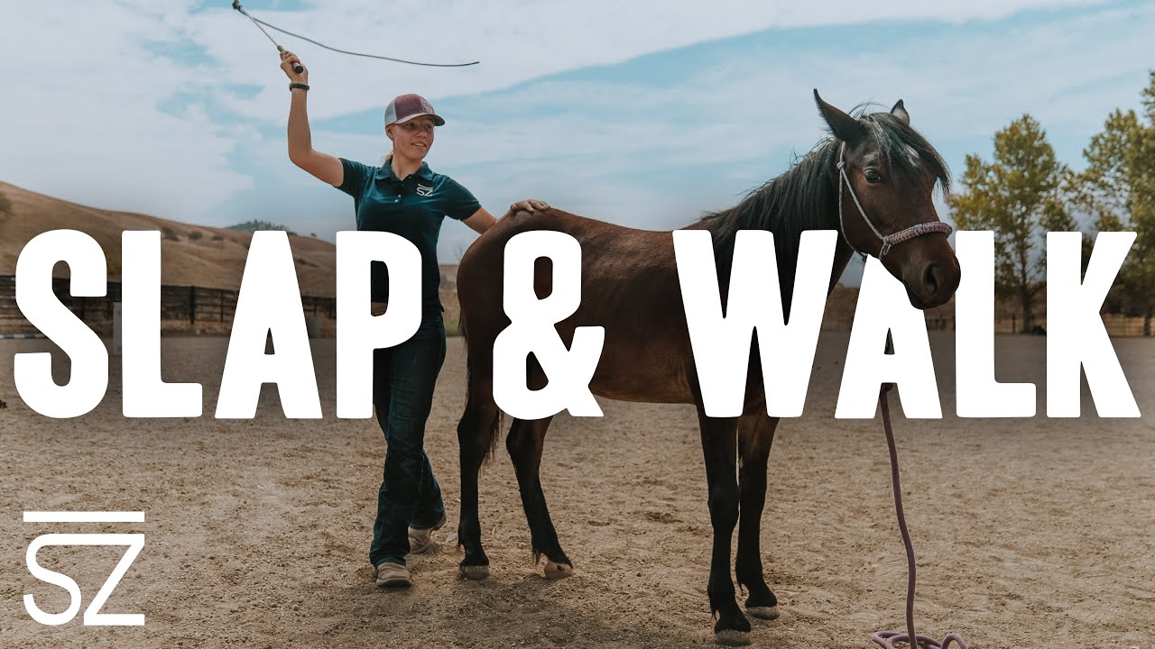 Teaching Your Horse the Slap & Walk Exercise - YouTube