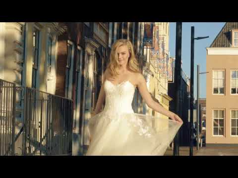 DELFINA | MODECA 2019