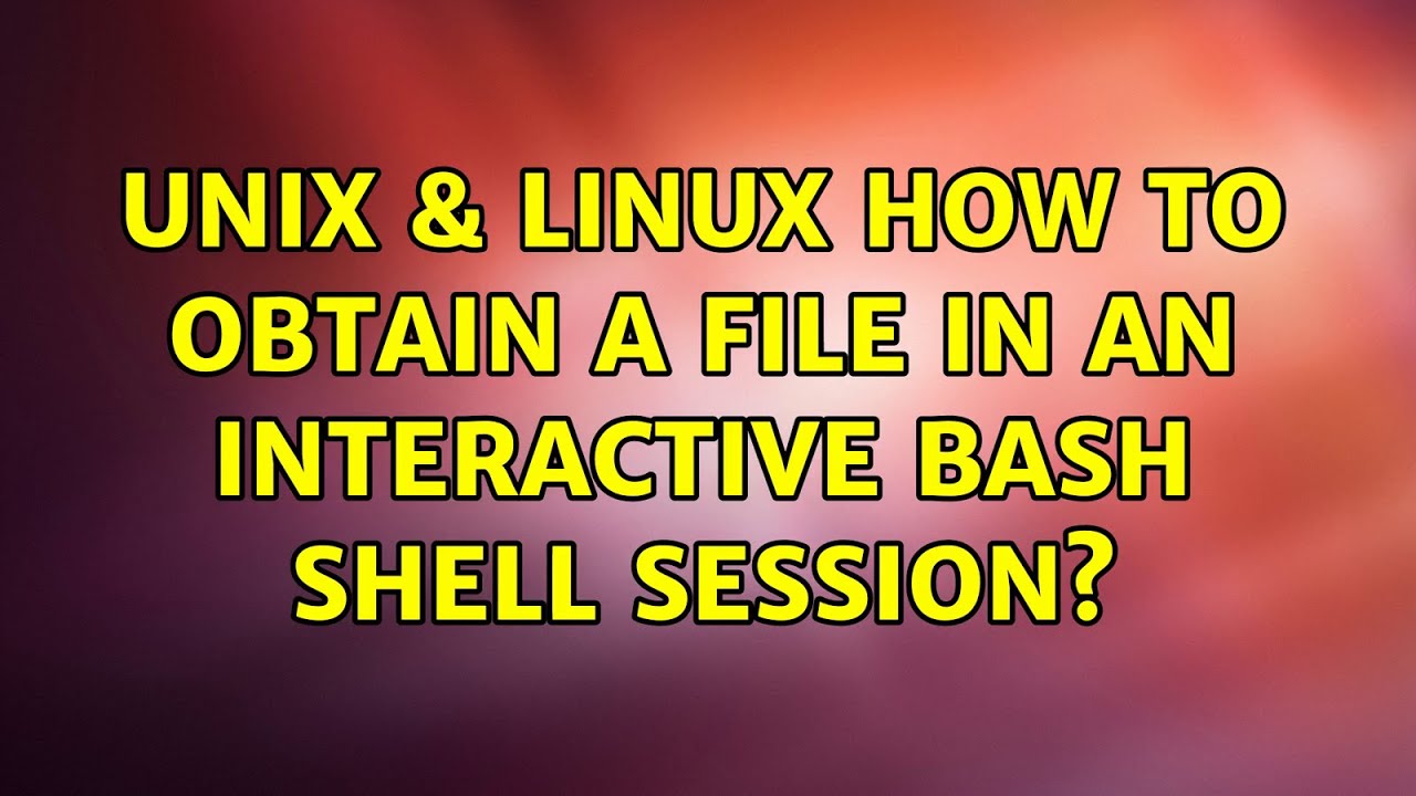 Unix And Linux How To Obtain A File In An Interactive Bash Shell Session