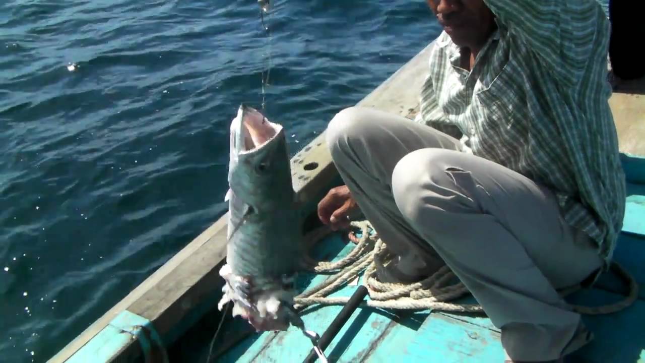 Fishing Tenggiri tinggal sekerat - YouTube