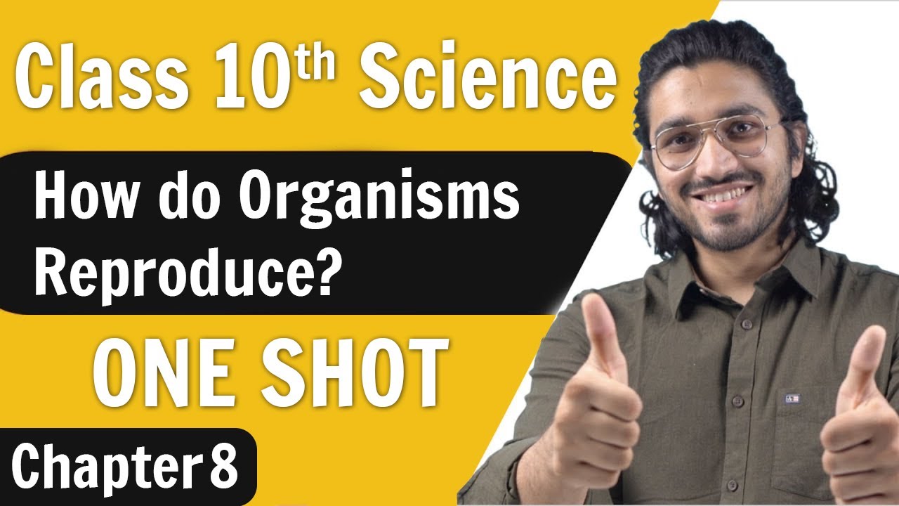 How do Organisms Reproduce | Chapter 8 | Class 10 NCERT - YouTube
