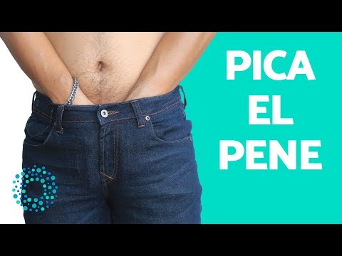PICAZÓN en el PENE - ¿Por qué me PICA el PENE?