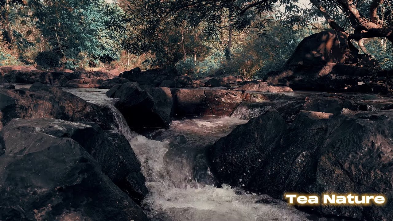 4K - Relaxing music 🎵 Sleep Music 💤 Stress relief Music, Spa ...