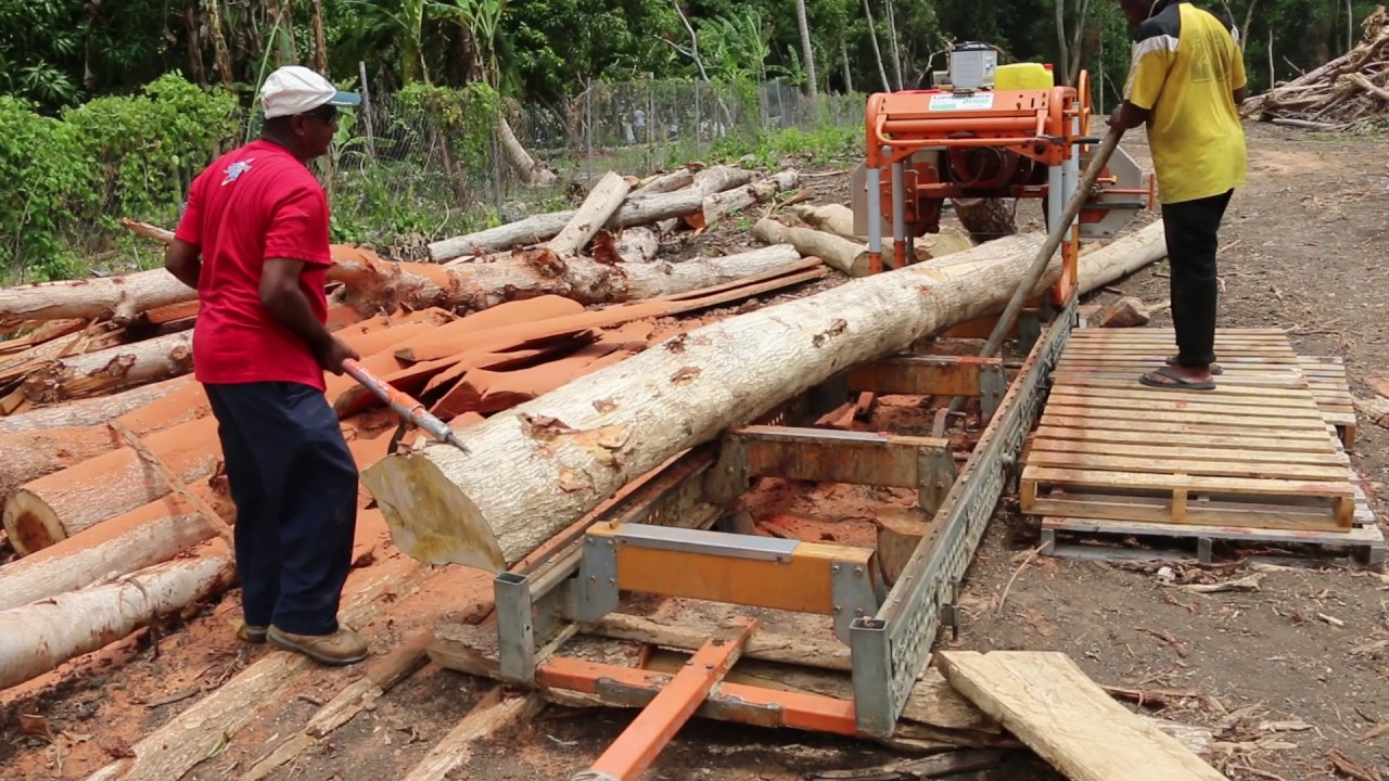 Milling Tropical Almond Lumber - YouTube