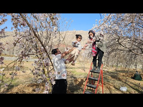 Eidi's expulsion by Fatima with the help of Musa