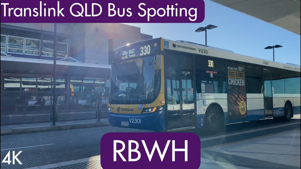 Translink QLD Bus Spotting - RBWH - YouTube