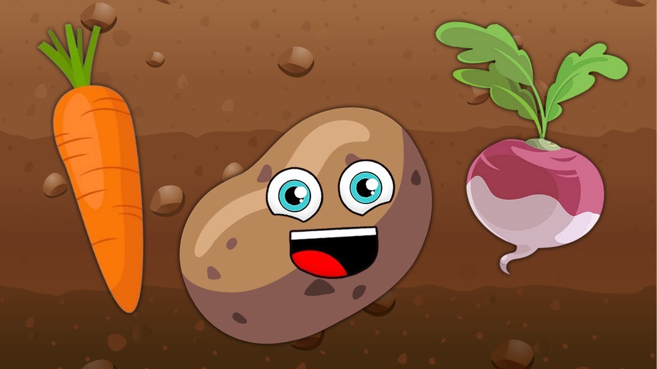 Learn ALL About Root Vegetables! | Songs For Kids | Orion - YouTube