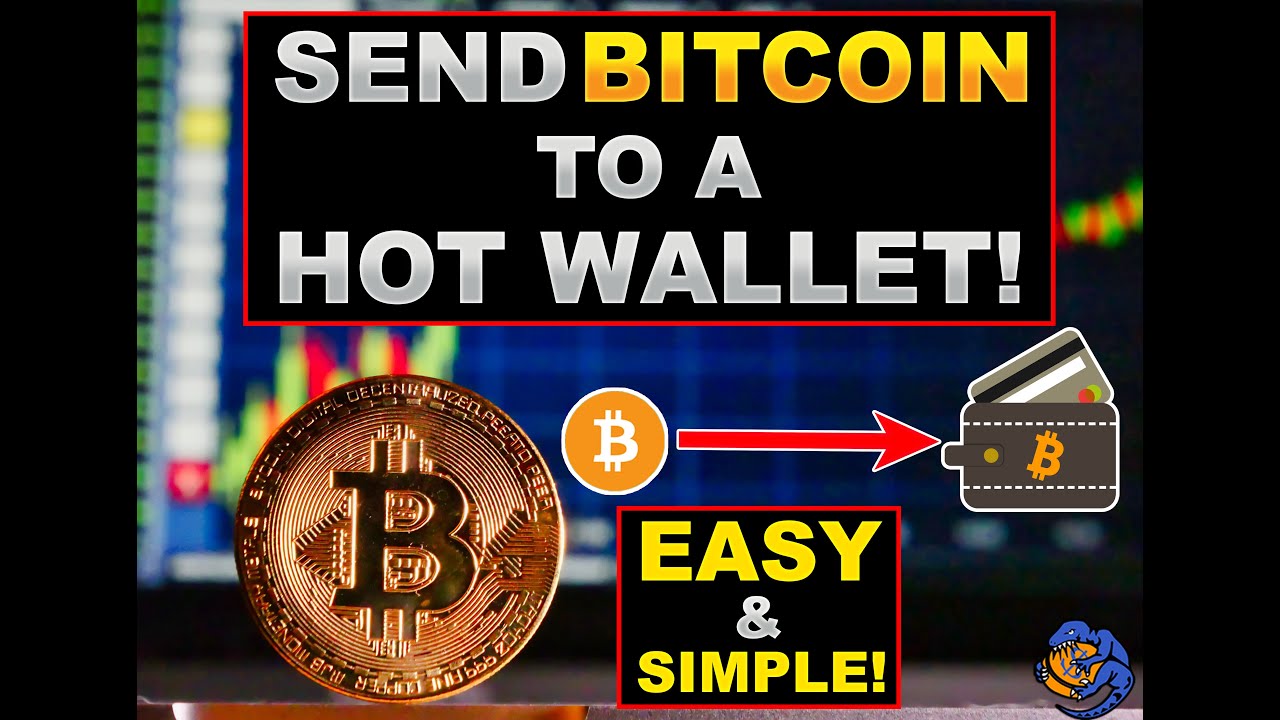 How to Send Bitcoin to a Wallet! Bitcoin Basics Part 2 - YouTube