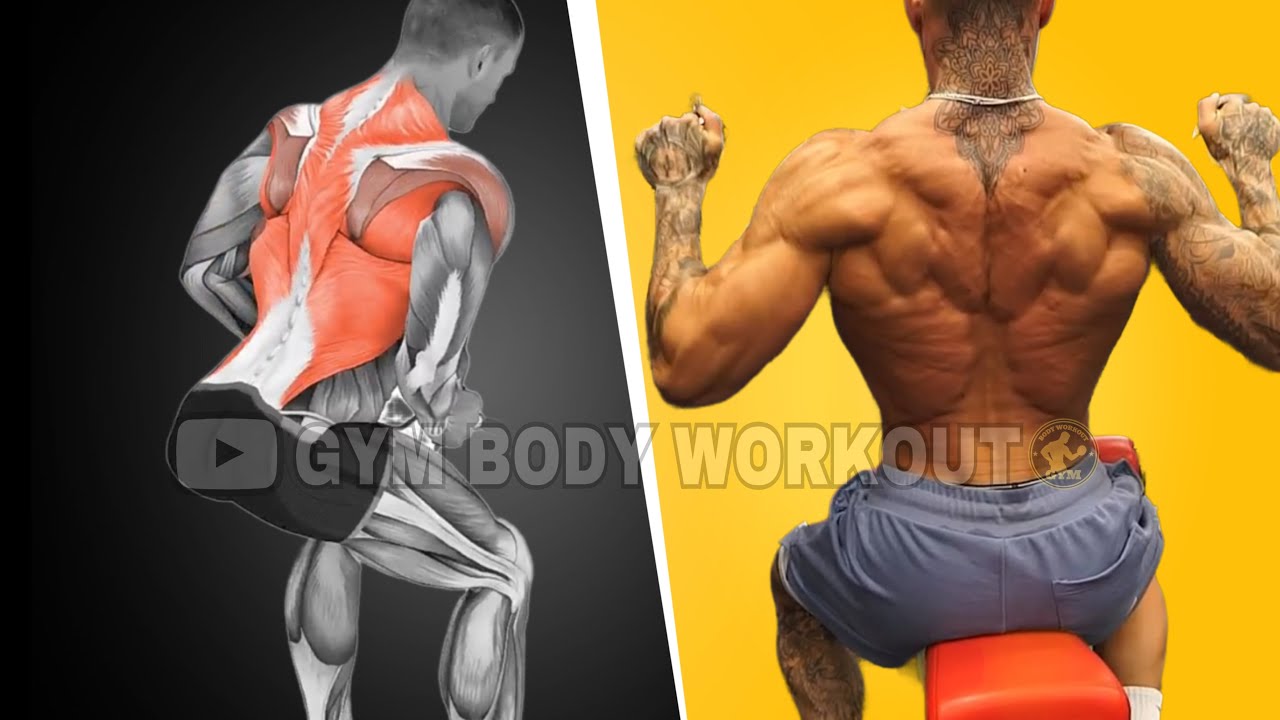 How To Get A Wider Back At Gym - GYM BODY WORKOUT - YouTube