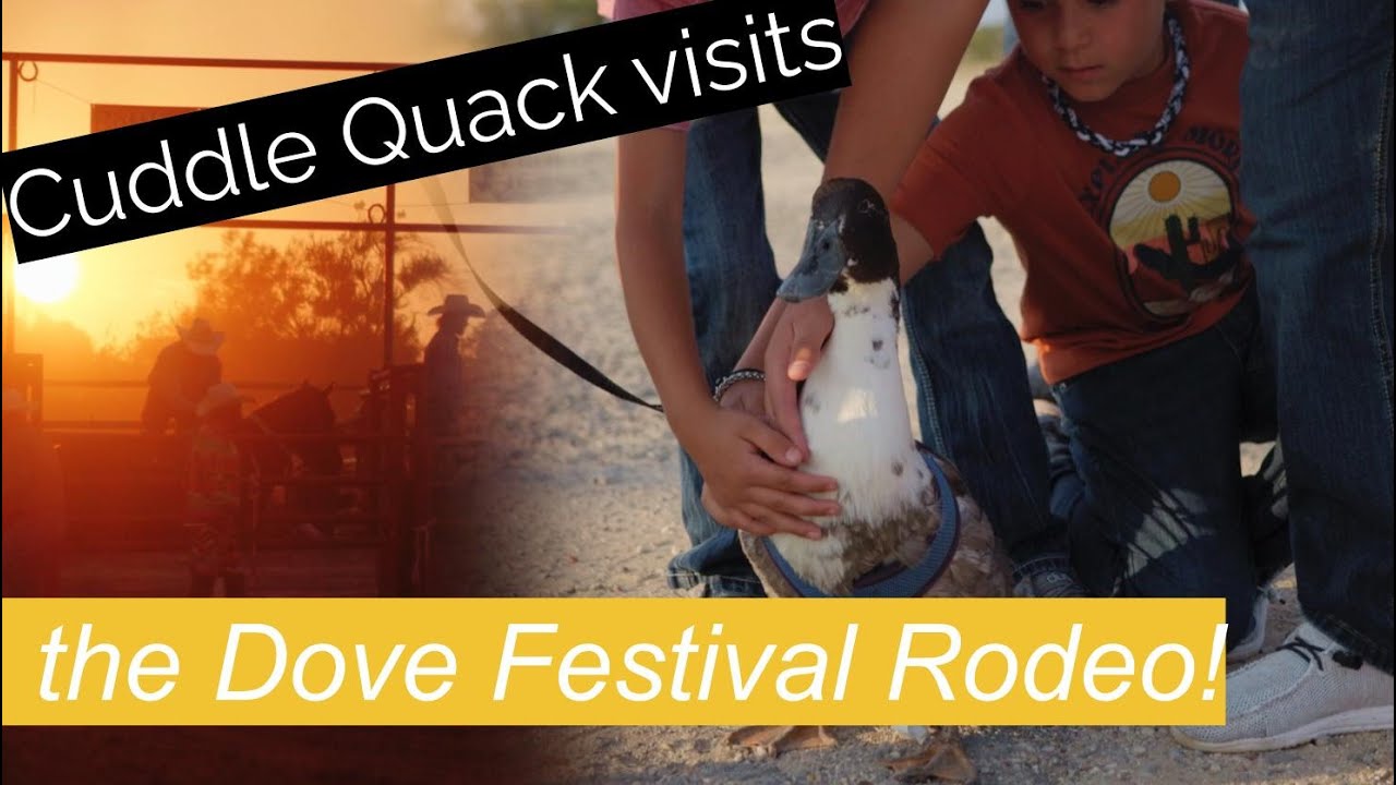 Cuddle Quack visits the Hamilton County Dove Festival Rodeo! - YouTube