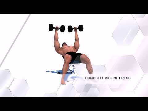 FITNESS 3D ANİMASYON