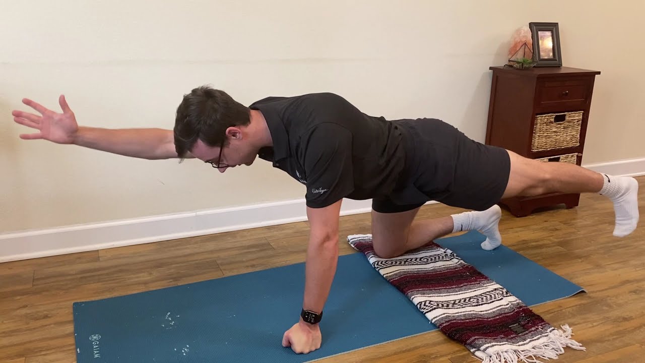 Bird Dog - Core Exercises - Exercises to Fix Low Back Pain! - Back Pain ...