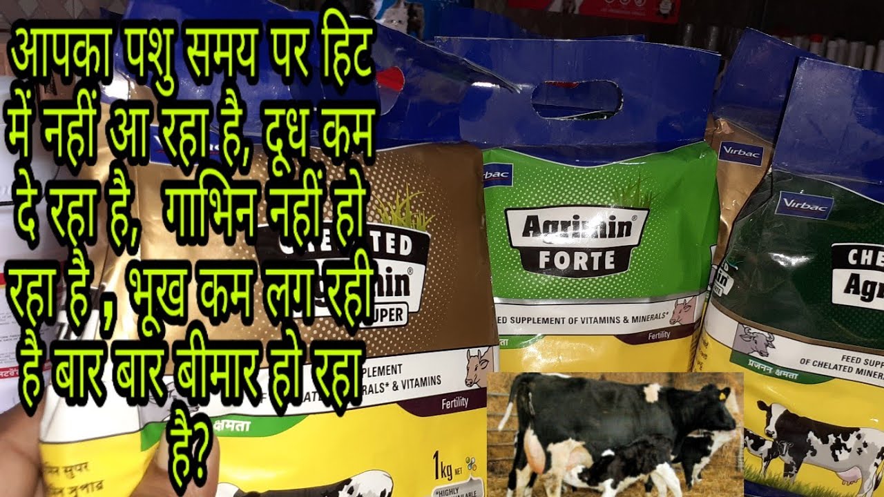 पशुओं में mineral mixture,Agrimin forte, Chelated Agrimin, Chelated ...