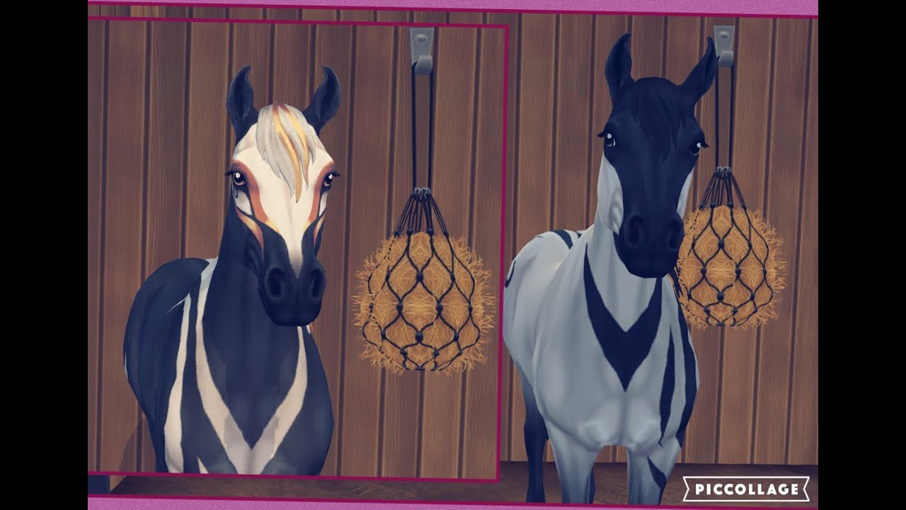 Shadowshield und Snowdancer// Star Stable Online (sso) - YouTube