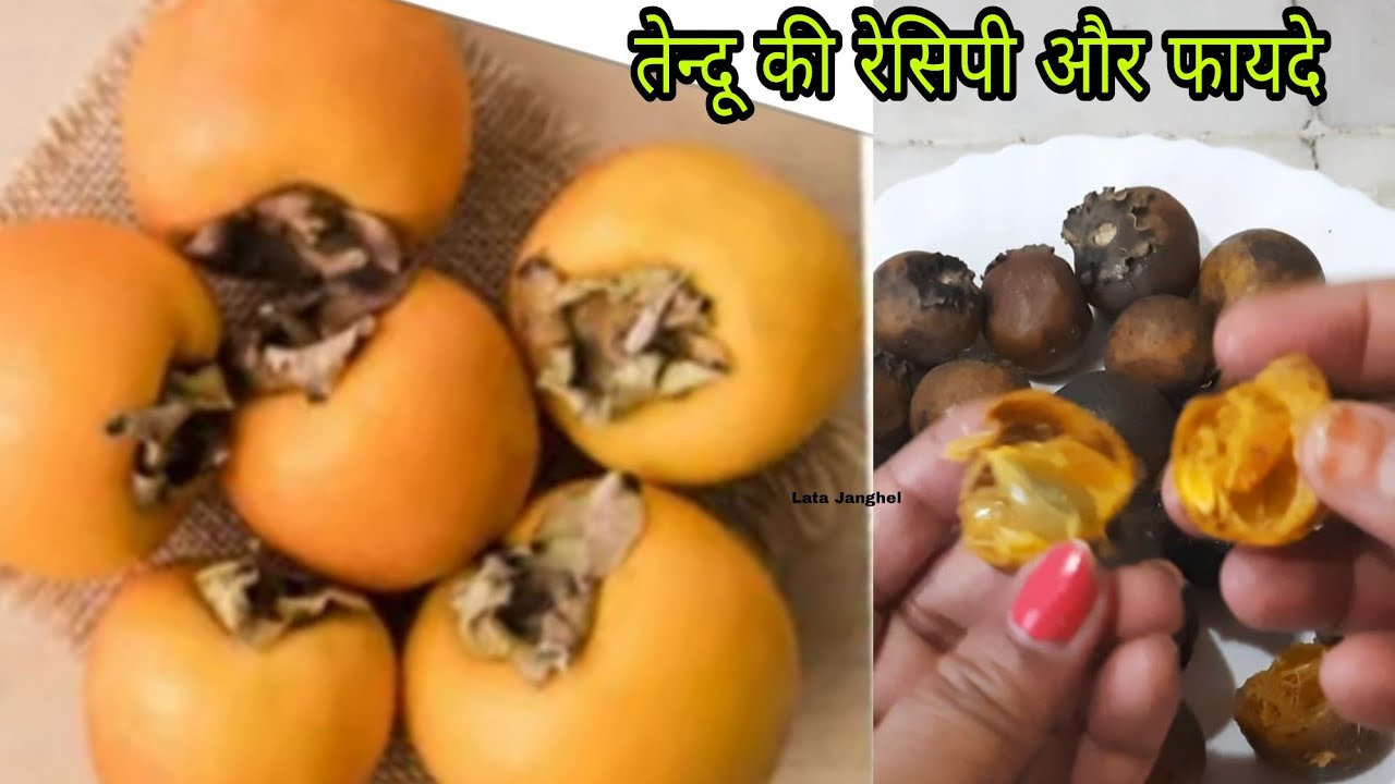 तेन्दू की रेसिपी और फायदे / Tendu Fruit Ki Recipe Or Fayade // Tendu Ke ...
