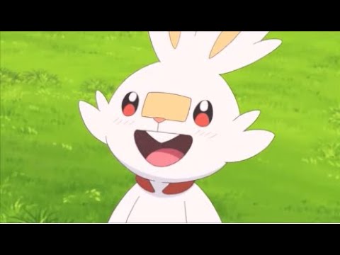 Scorbunny's Cute Moments - YouTube