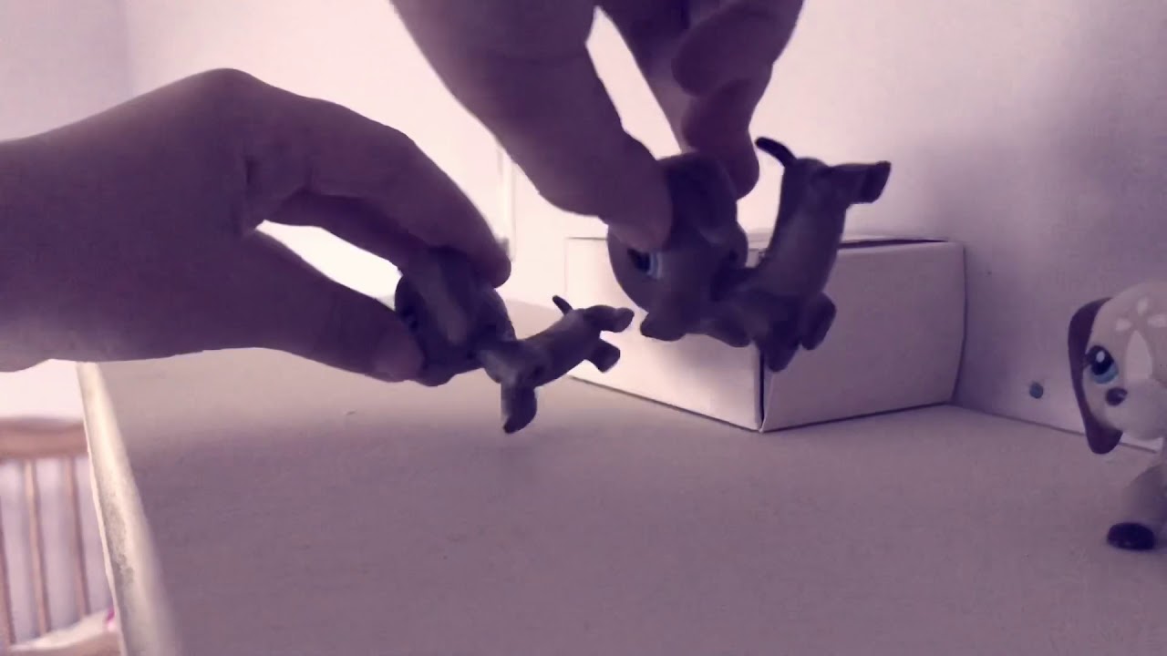 H20- just add water s1 e1 metamorphosis - YouTube