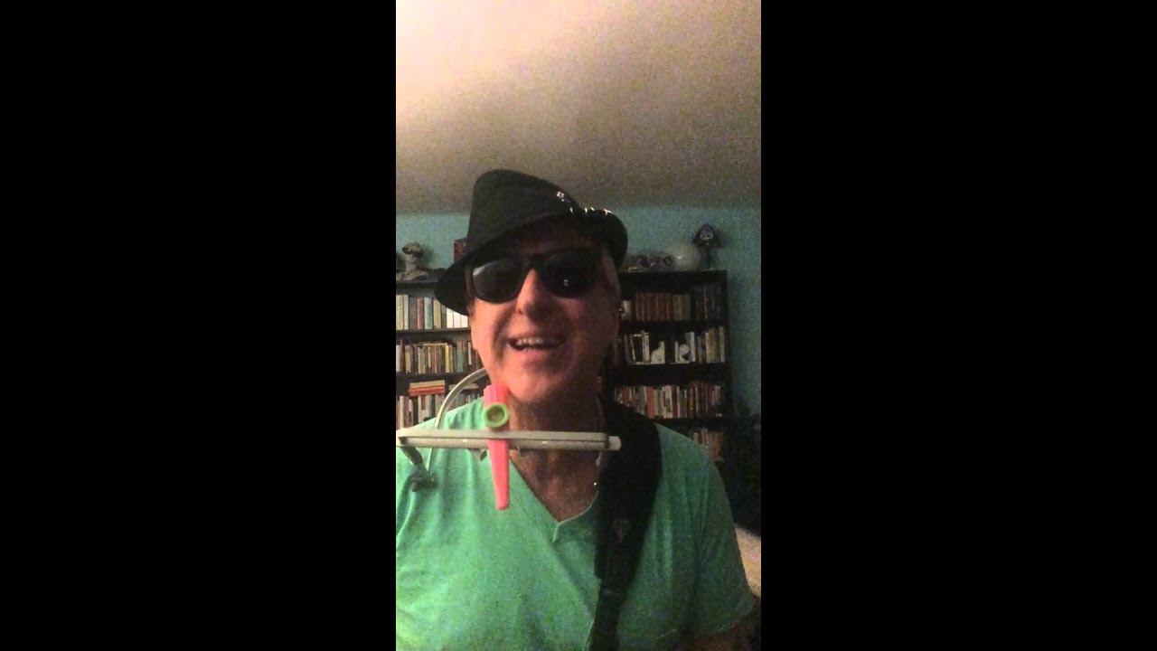 Stuff Your Ballot Box performed by Doug Sievers - YouTube