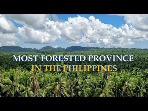 FOREST COVER BY PROVINCE IN THE PHILIPPINES | STATSPH VIDEOS - YouTube
