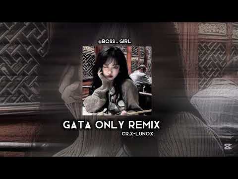 Floyymenor - Gata only (dscvr remix TikTok version) 