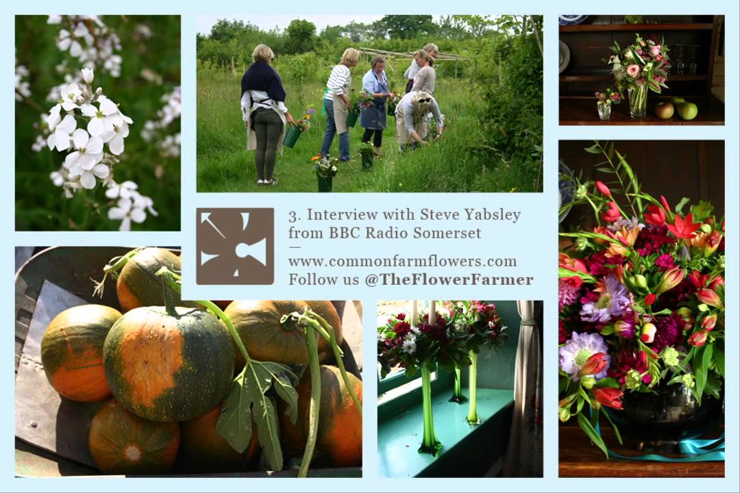 Part 3 - Interview with Steve Yabsley from BBC Radio Somerset - YouTube