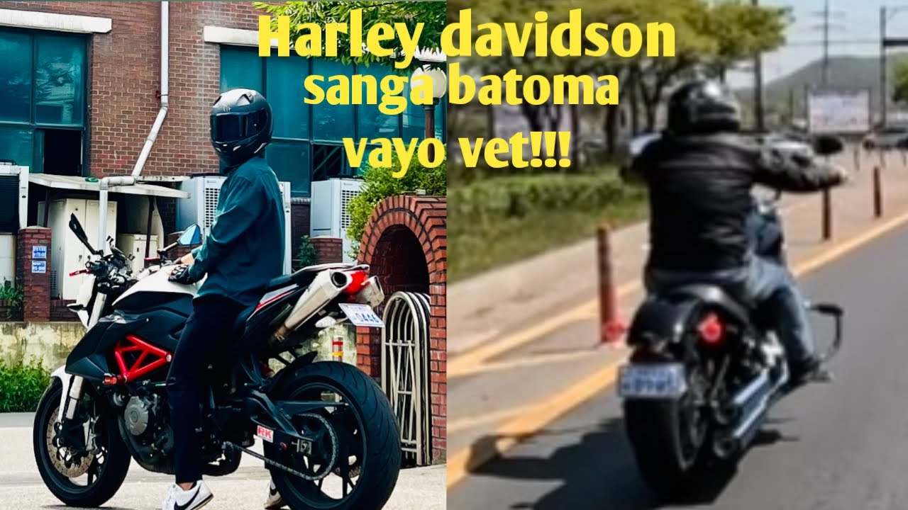 Harley Sanga Vayo Vet!! Nepali Rider🇳🇵 In South Korea🇰🇷On My Benelli ...