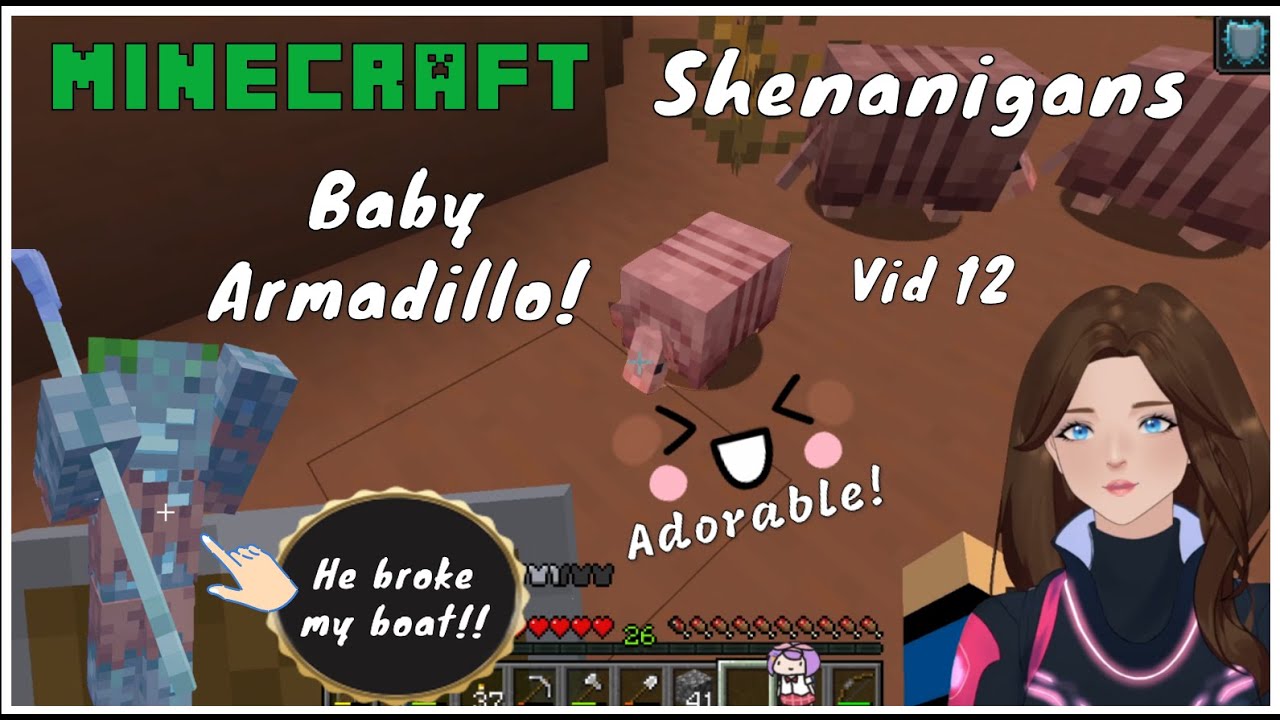 Minecraft Shenanigans Vid 12 | Baby Armadillos! - YouTube