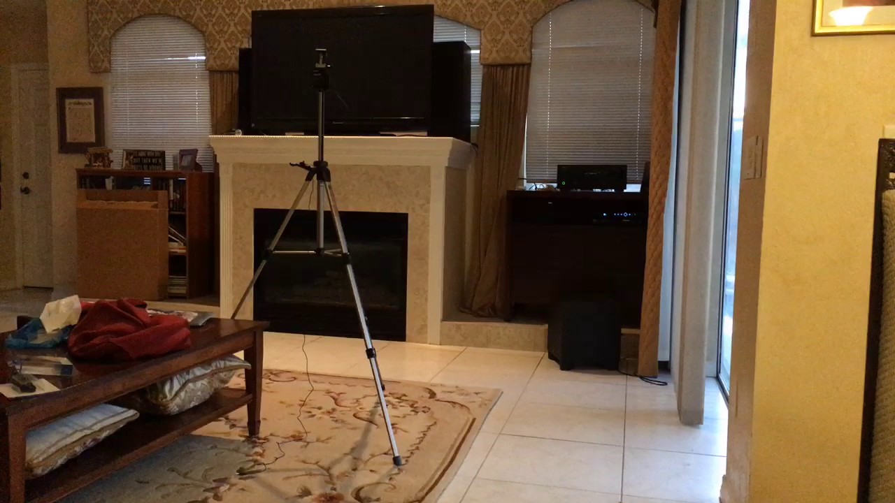 Lisa Natale Live Stream - YouTube