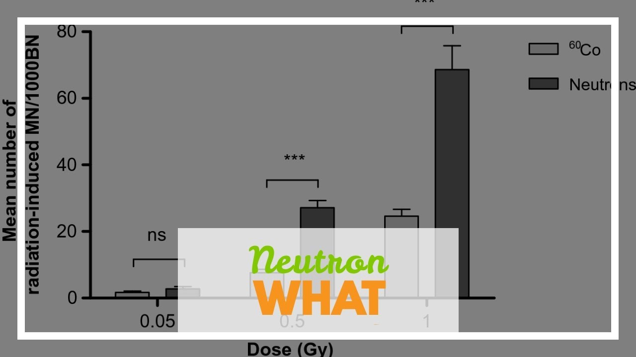 Neutron experiments reveal what maintains bones in good function - YouTube